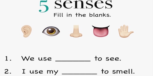 Five Senses Fill In The Blanks Free Printable - For Kids Education Five Senses Fill In The Blanks Free Printable - For Kids Education